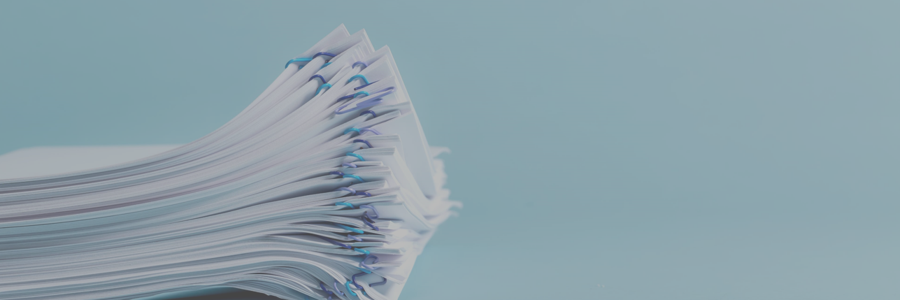 Reports - State Economic Development Executives Network (SEDE)